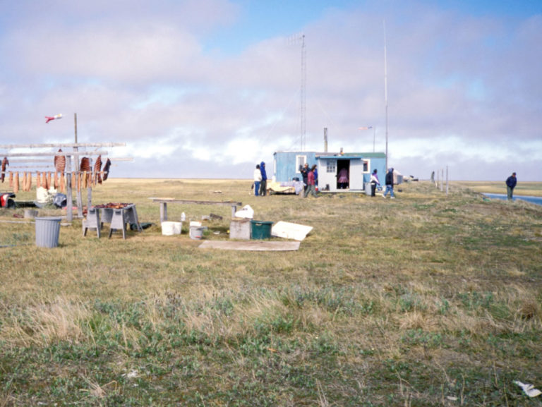 Welcome to the Nuiqsut Environmental Information Website